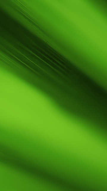 green_leaf_background-wallpaper-1280x720_cr.jpg- Viewing image -The ...