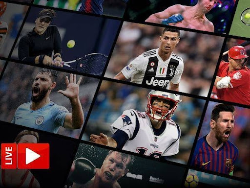 Which Sport Is Better To Bet On Tips For Beginners which-sport-is-better-to-bet-on-tips-for-beginners