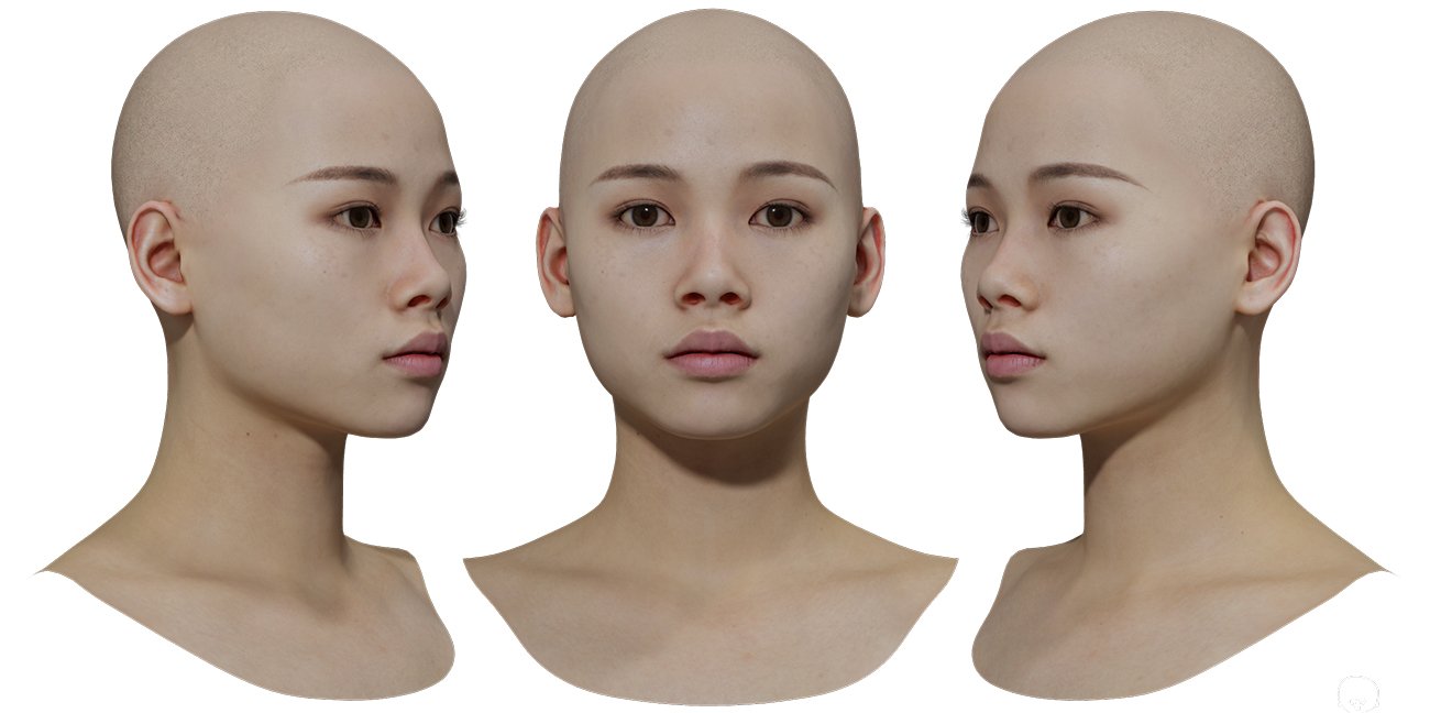 Female-3D-Head-Model (1).jpg - Просмотр картинки - Хостинг картинок ...