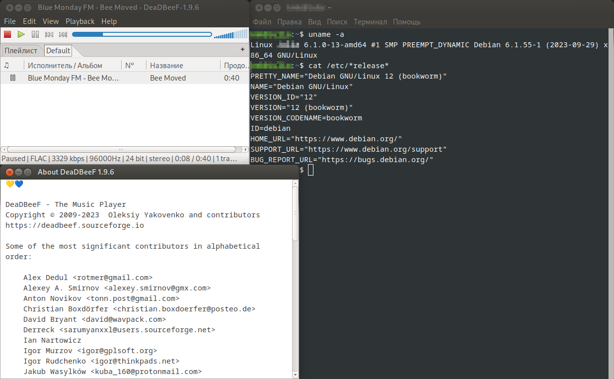 DeaDBeeF for Linux 1.9.6 [x86_64] (deb, rpm, pkg.tar.xz, tar.bz2) :: NNM-Club