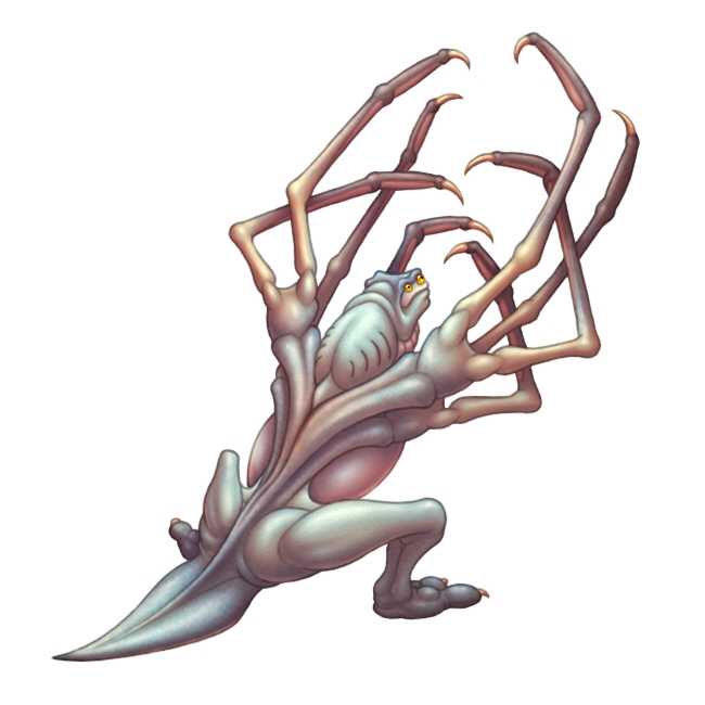 Форум неоцена